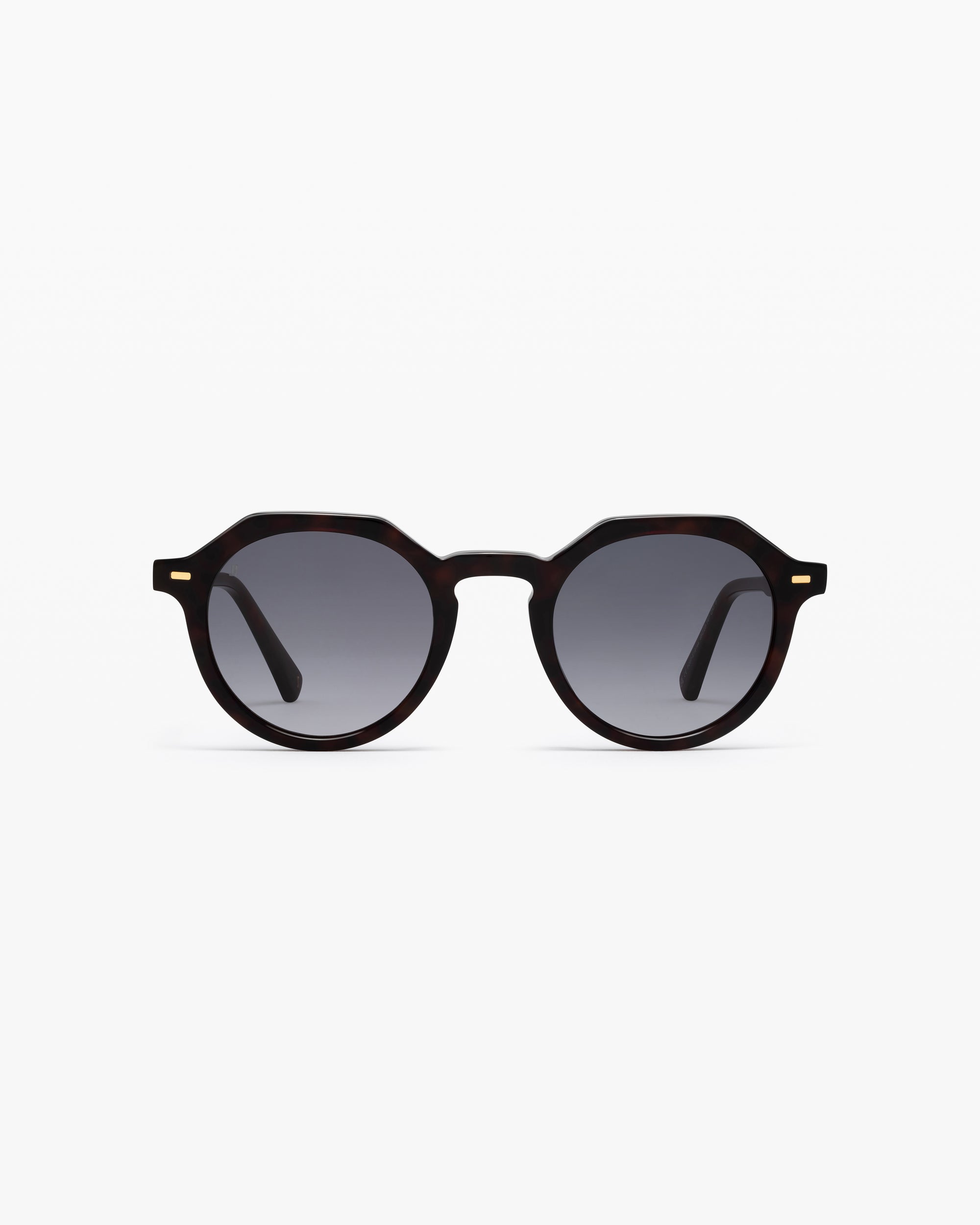 The Elvie Medium Women's Sunglasses in Dark Tortoise | Jimmy Fairly US